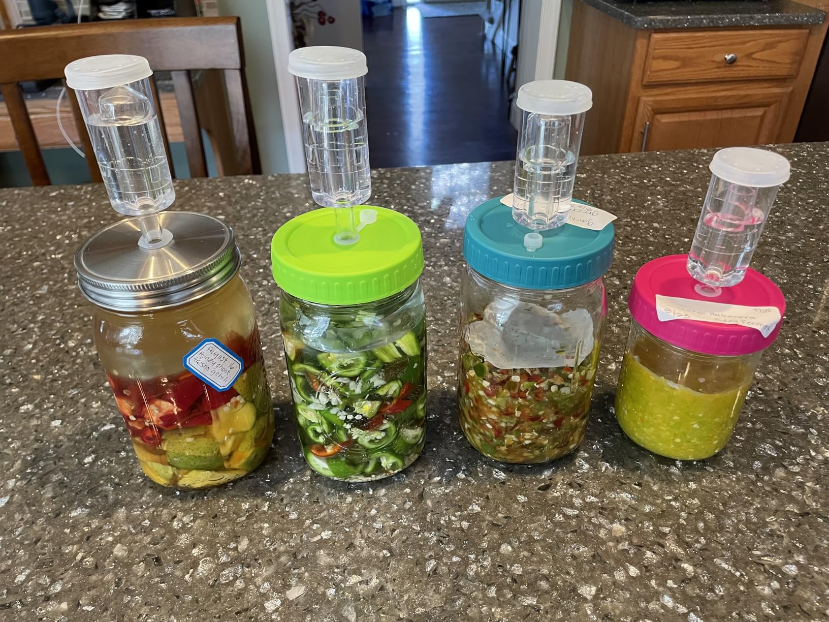 8 Best Fermentation Lids (June 2026) Complete Guide