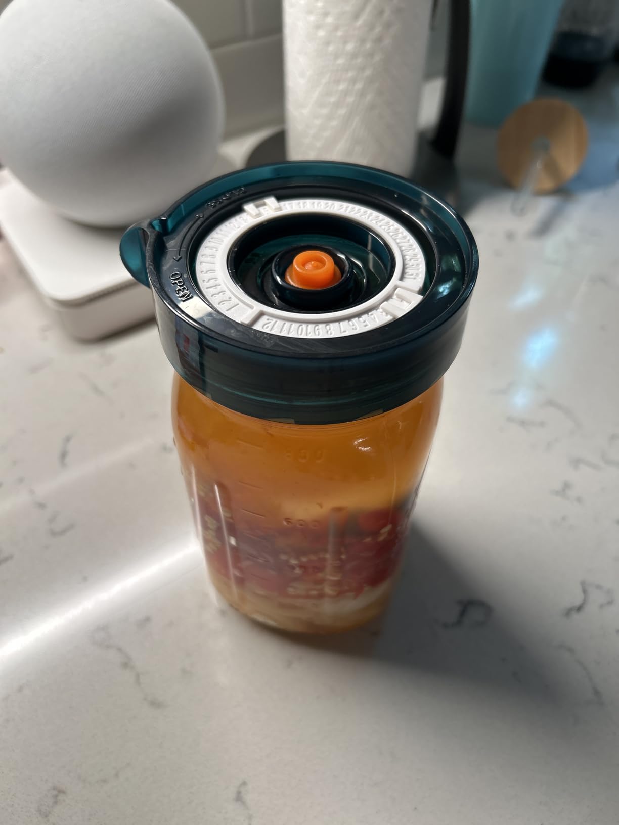 8 Best Fermentation Lids (June 2026) Complete Guide