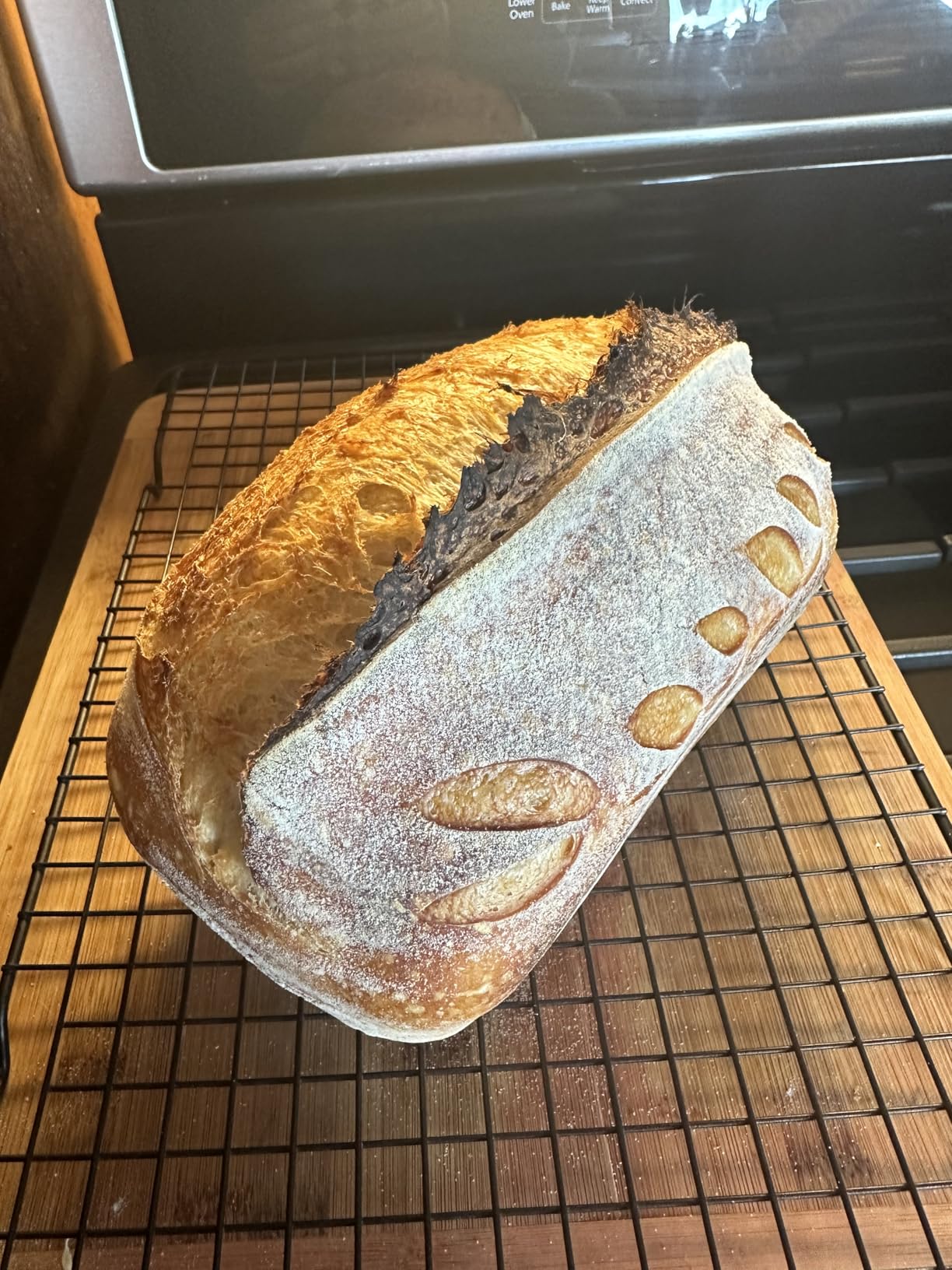 10 Best Bread Scoring Tools (June 2026) Complete Guide