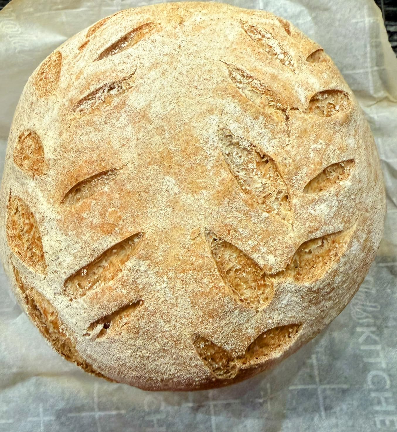 10 Best Bread Scoring Tools (June 2026) Complete Guide