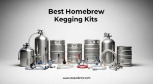 10 Best Homebrew Kegging Kits (June 2026) Complete Guide