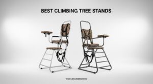 10 Best Climbing Tree Stands (June 2026) Complete Guide